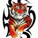 Add Tiger-Bot Discord Bot | The #1 Discord Bot and Discord App List