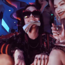 danedi | Creators | Themezer