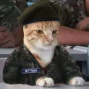 Add Lawliet Discord Bot | The #1 Discord Bot and Discord App List