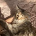 Rizz Academy 🐺 | DISBOARD: Discord Server List