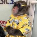 Add sesh Discord Bot | The #1 Discord Bot and Discord App List