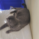 Add Taco Discord Bot | The #1 Discord Bot and Discord App List