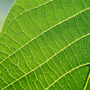 Add Nature Discord Bot | The #1 Discord Bot and Discord App List