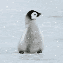 Zoomed Discord pfp of Gerald - Discord-Avatar.com