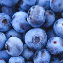 Ajouter le bot Discord Blueberry | La liste de bots Discord n°1