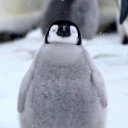 Add Solar Discord Bot | Invite Link