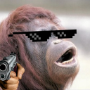 Add MonkeBot Discord Bot | The #1 Discord Bot and Discord App List