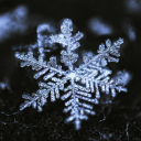 Add Snowflake Discord Bot | The #1 Discord Bot and Discord App List