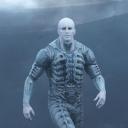 rodito - Simtropolis