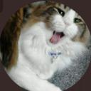 Summary | Grind Tracker | Garmoth.com - BDO Companion