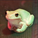 GitHub - makinori/frog-bot: good fren who hops inside discord