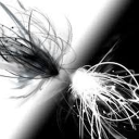 Add The helper Discord Bot | Invite Link