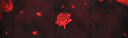 Red Rose | Discord App Directory