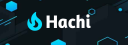 Hachi | Discord App Directory