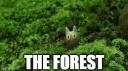 The Forest - Discord Servers