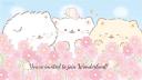 𝓦𝓸𝓷𝓭𝓮𝓻𝓵𝓪𝓷𝓭 - Discord Servers