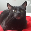 Boosted Restart – A new chance in a different world - Chapter 358 ...