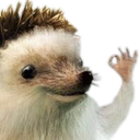 @Perksey, D3D12 supports render passes: - Silk.NET