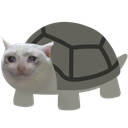 Turtle discord bot