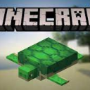 TurtleCraft - Discord Server