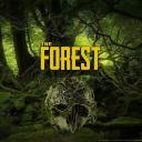 The Forest Indonesia | DISBOARD: Discord Server List