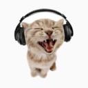 kitten.co | DISBOARD: Discord Server List