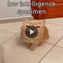 Discord servers tagged with hawaii | DISBOARD