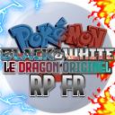 「💫~Pokémon RP - Le Dragon Originel」RP-FR🇨🇵 | DISBOARD: Liste de ...