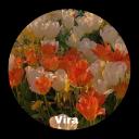 Flower zones | DISBOARD: Discord Server List