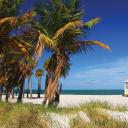 Discord servers tagged with Miami | DISBOARD