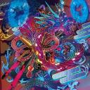 Secret Rare | DISBOARD: Discord Server List