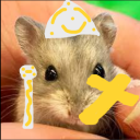 the lands of the holy hamster
