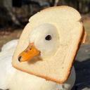 comfy corner | DISBOARD: Discord Server List