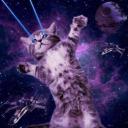 ★Cosmic Cats★ | DISBOARD: Discord Server List