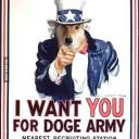 The Doge Super Heros | DISBOARD: Discord Server List