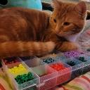 Ziggy's Kandi Kids | DISBOARD: Discord Server List