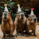 🌸₊˚ʚ Capy-Club₊ | DISBOARD: Servidores de Discord