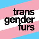 Discord servers tagged with trans | DISBOARD