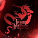 Team Dragons Community | DISBOARD: Discord Server List