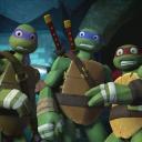 TMNT RP: [wip] | DISBOARD: Discord Server List