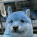 Blue Dog Cult | DISBOARD: Discord Server List