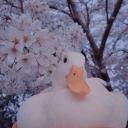 Discord servers tagged with ducks | DISBOARD