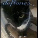 Discord servers tagged with deepwoken-guild | DISBOARD