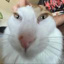 RIZZICS | DISBOARD: Discord Server List