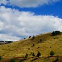 The Grassy Knoll | DISBOARD: Discord Server List