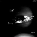 Discord servers tagged with Georgia | DISBOARD