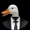 The Cryptic Duck's Cove | DISBOARD: Discord Server List