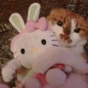 ʚ goober land₊˚ ﾟ. | DISBOARD: Discord Server List