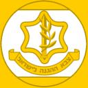 Digital Forces of Israel | DISBOARD: Discord Server List