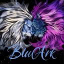 BBG Xbox community | DISBOARD: Discord Server List